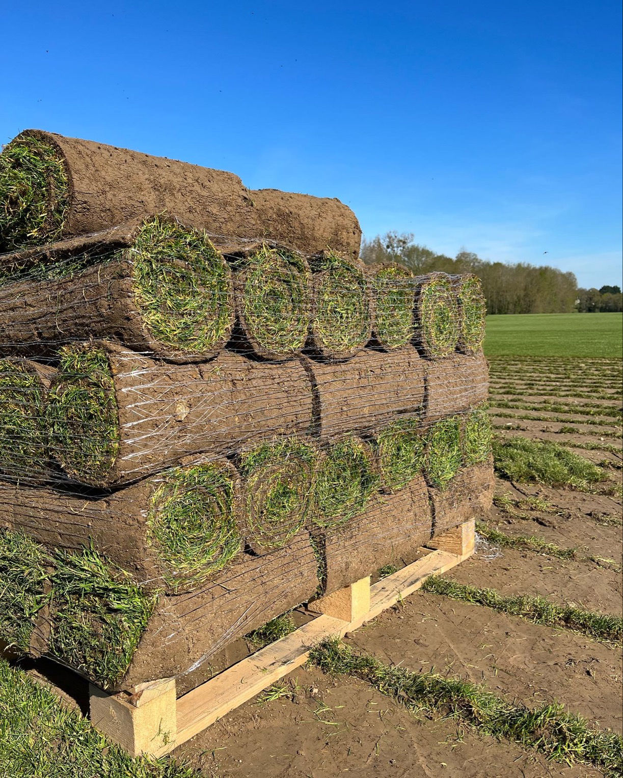 Gazons naturels en rouleau, gazon en plaque en Bretagne